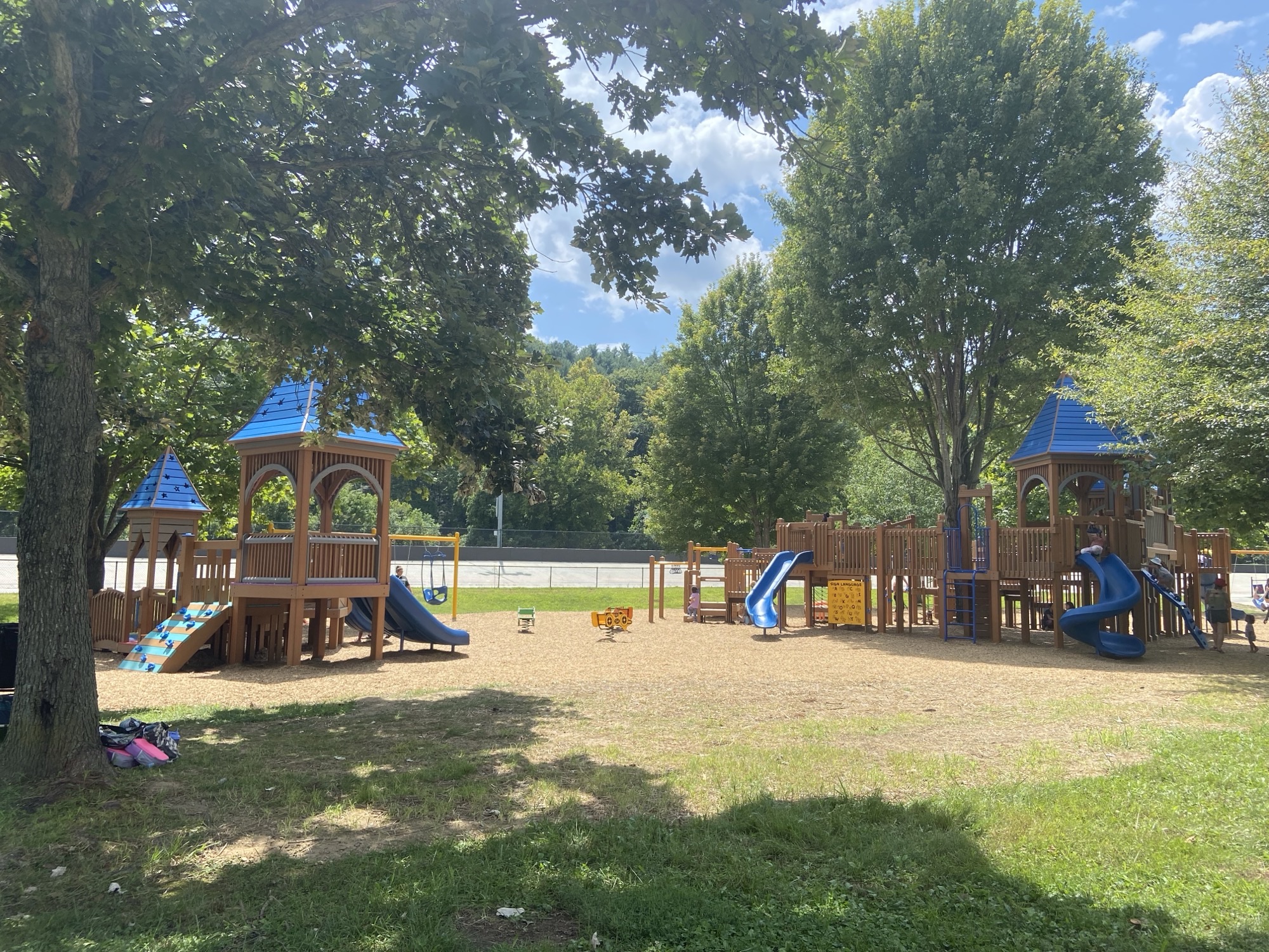 Carrier Park’s new playground a place to slide, swing, explore ...