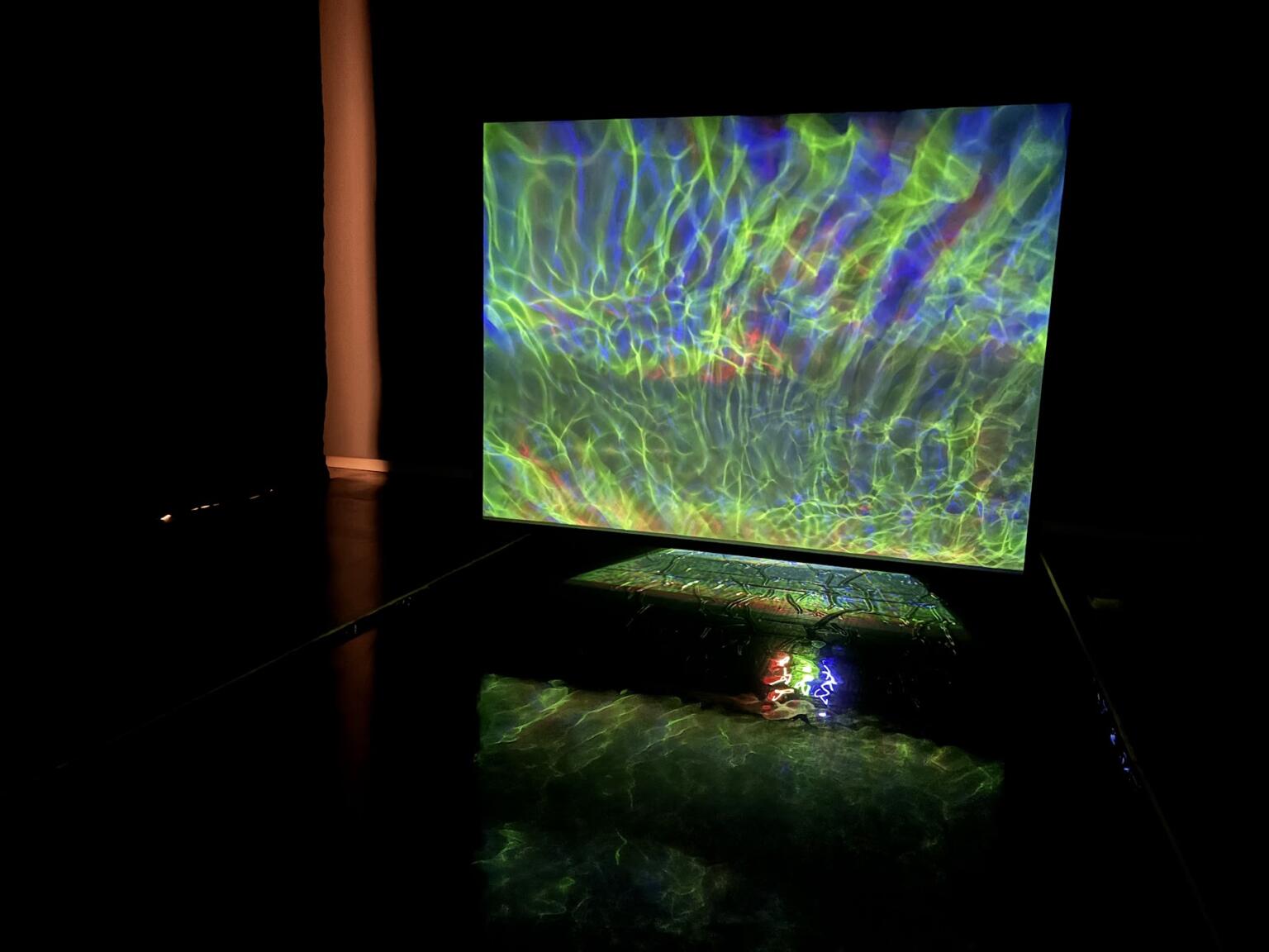 Asheville Art Museum puts ‘AR’ in art with new exhibit - Asheville's ...
