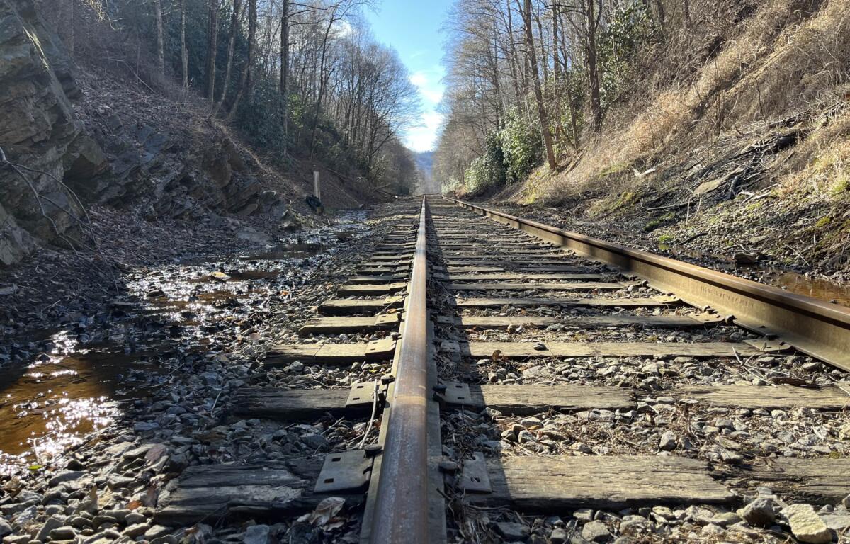 Tombstone Tales: Incarcerated African Americans built WNC railroad ...