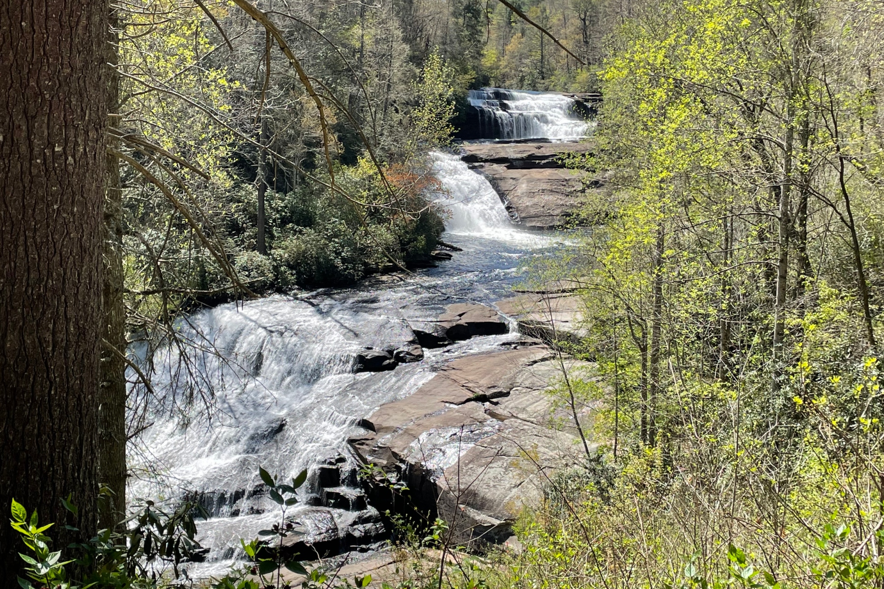 Triple Falls Trail at DuPont State Recreational Forest reopens ...