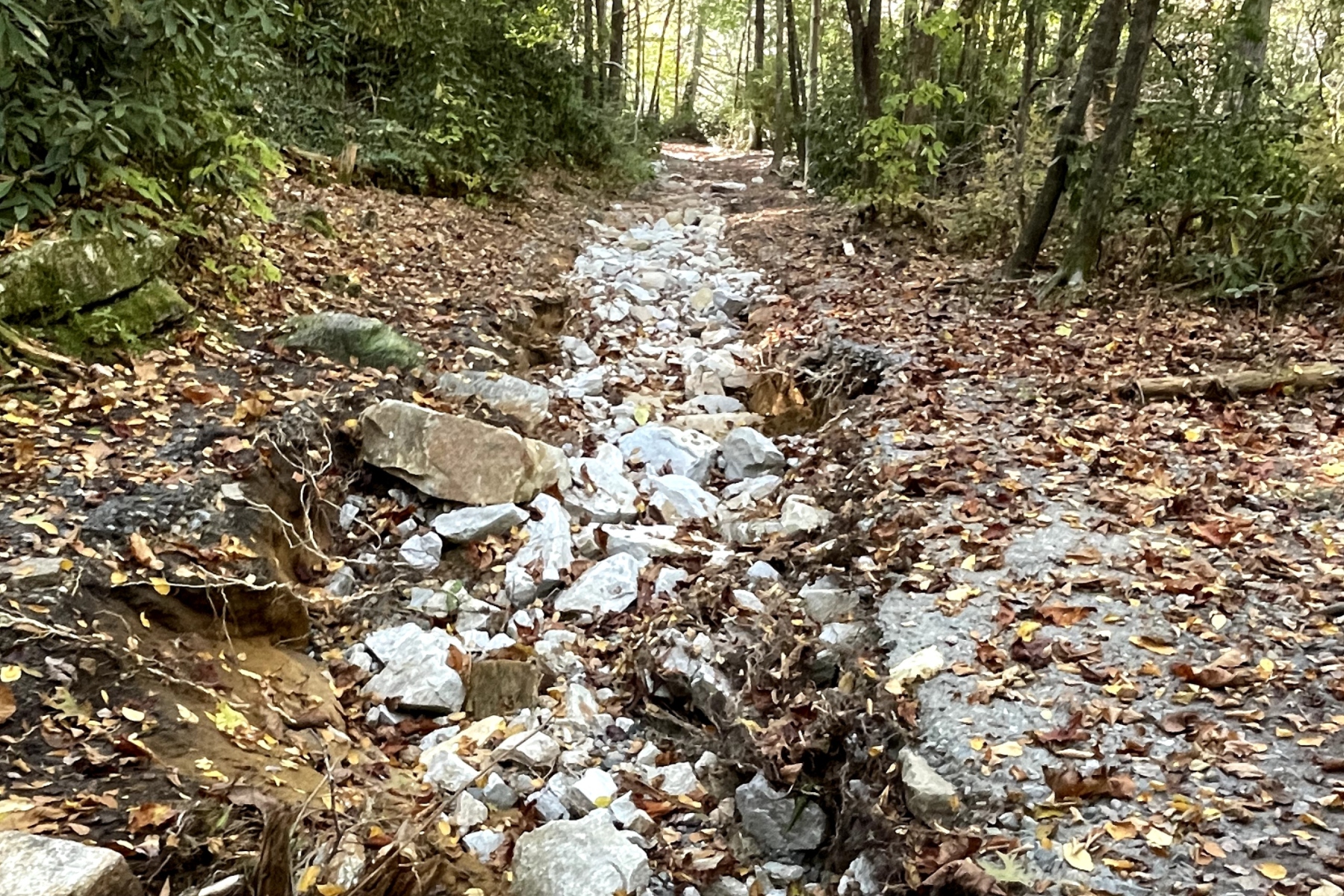 Triple Falls Trail at DuPont State Recreational Forest reopens ...