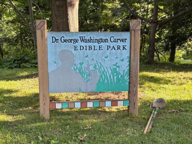 From gardens to plates: Asheville’s edible parks help feed the city ...