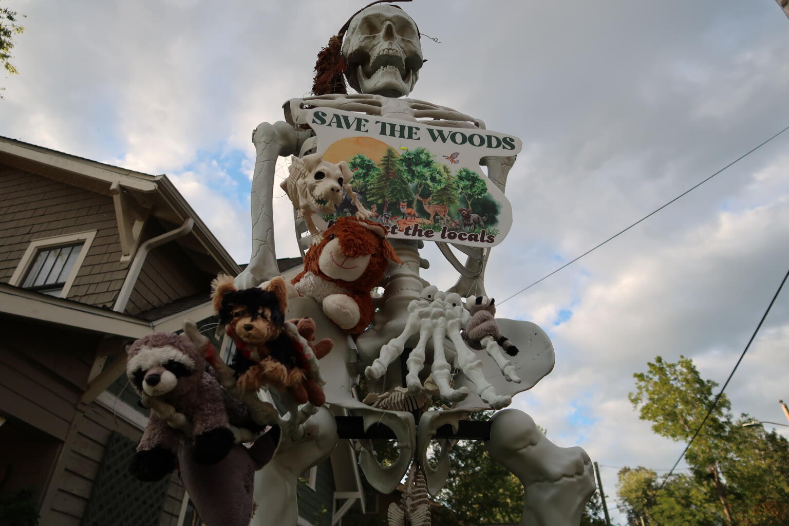 Strangeville: The skeletons of Chestnut Street - Asheville's 828 News NOW