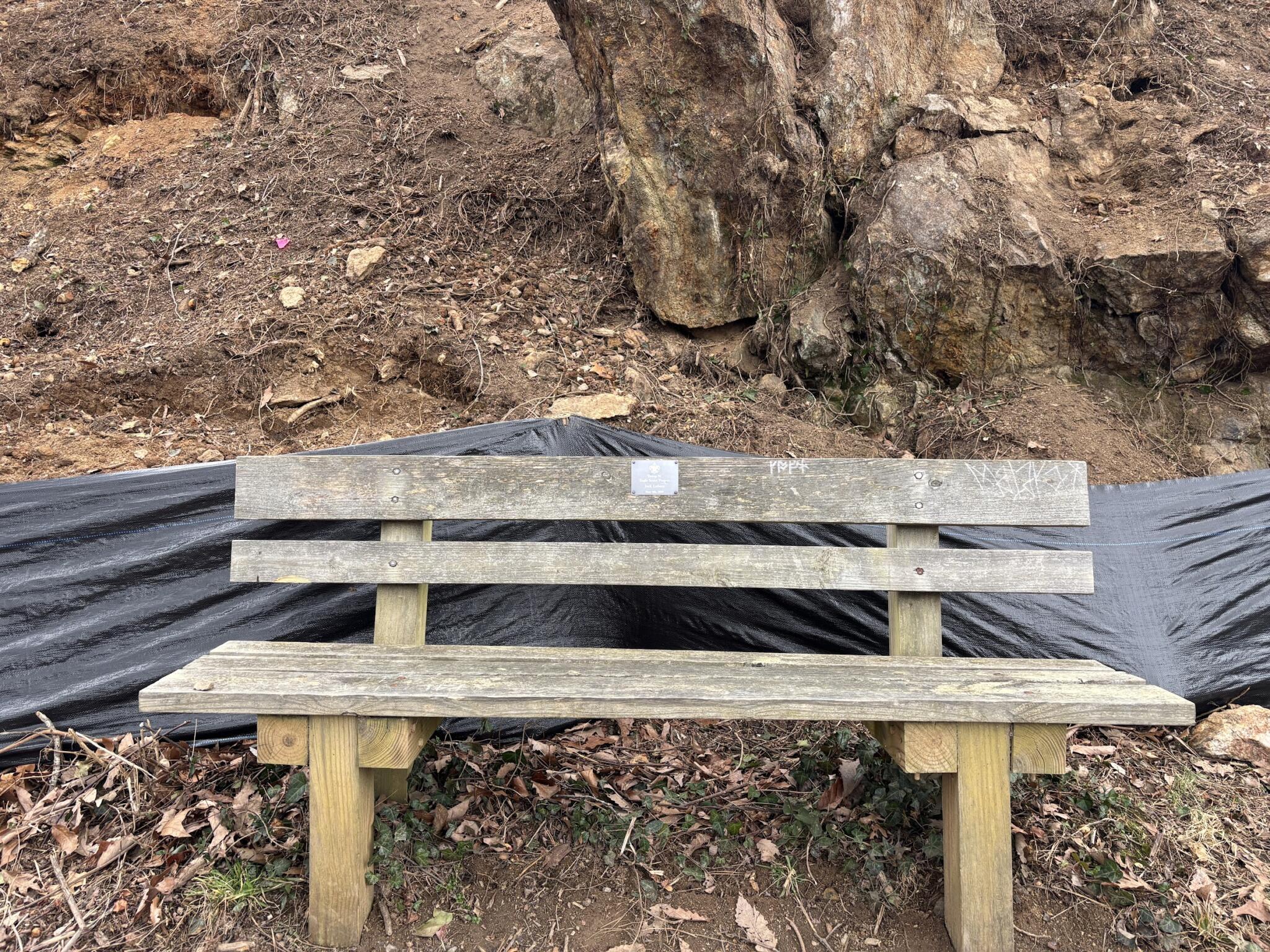 Hikes of WNC: Beaver Lake Perimeter Loop - Asheville's 828 News NOW