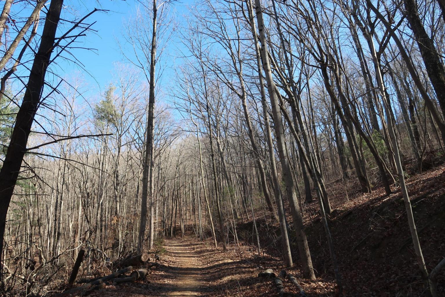 Hikes of WNC: Beaucatcher Mountain Trail - Asheville's 828 News NOW