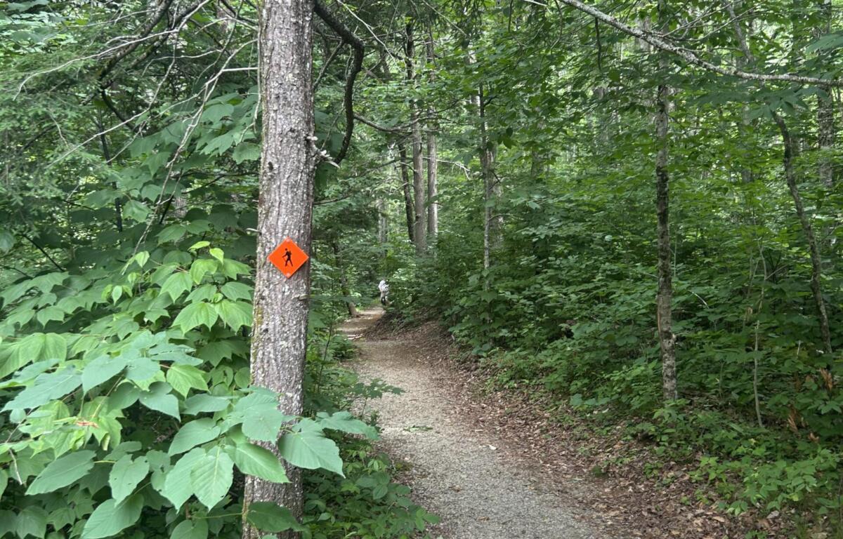 Grandfather Mountain Profile Trail reopens for first time since Helene ...